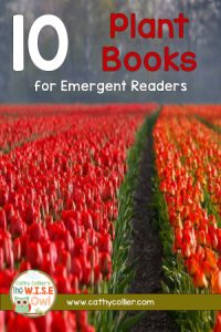 Best 10 Plant Books To Keep Emergent Readers Growing