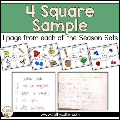 The WISE Owl | Where Instruction Supports Excellence