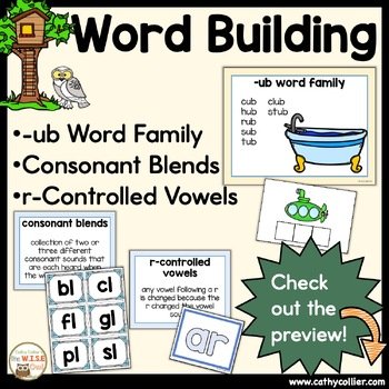 Magic Tree House Polar Bears Before Bedtime #12 Book Companion K-2 ...