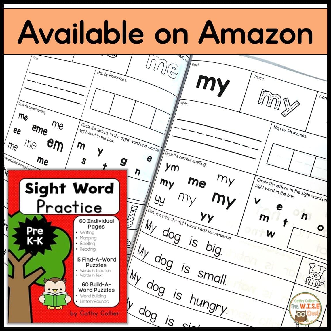 Sight Word Activity Workbook - Learn, Write, Build And Read | The WISE Owl