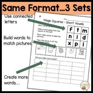 Word Building Worksheets Short Vowel & R Controlled Vowels Phonics ...