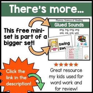 Ng And Nk Digraph Words Worksheet Glued And Nasal Sounds First Grade ...