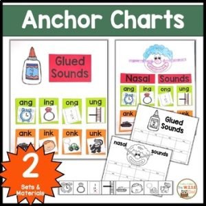 Ng And Nk Digraph Words Worksheet Glued And Nasal Sounds First Grade ...